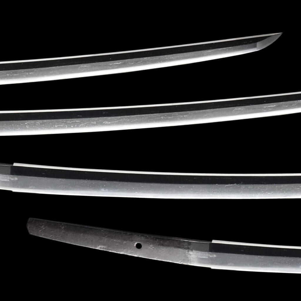 Katana attributed to Oshu Hojyu | Samurai Museum Shop