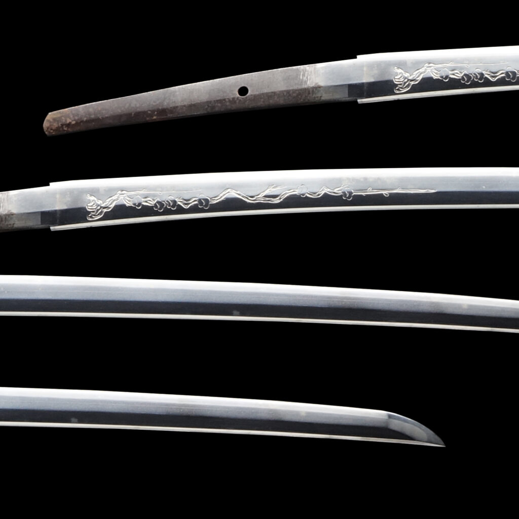 Edo Katana attributed to Tadayoshi | Samurai Museum Shop